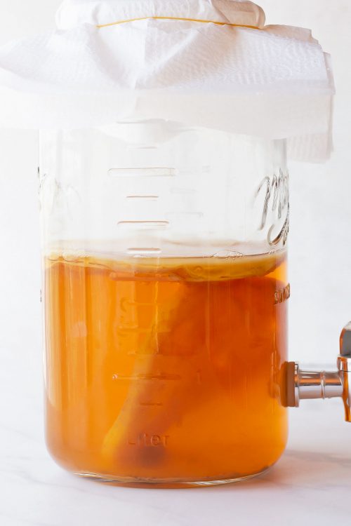 How to Make a Scoby for Kombucha » LeelaLicious