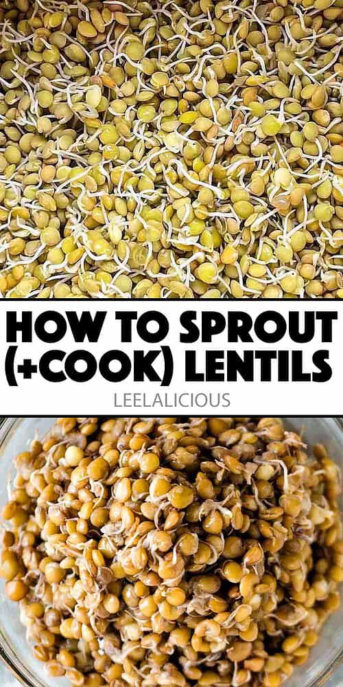 How to Sprout Lentils » LeelaLicious